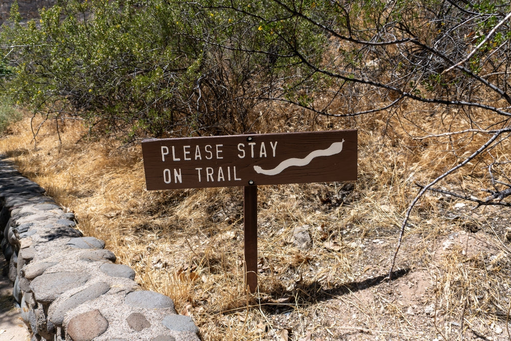 Venomous Snakes of Colorado